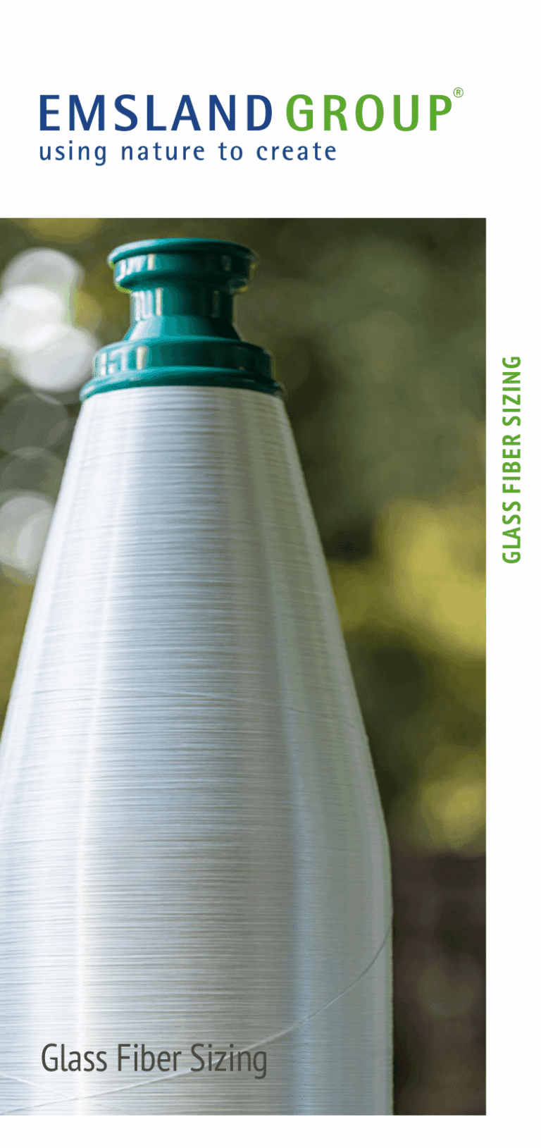 Glass fibre sizing - Emsland Group
